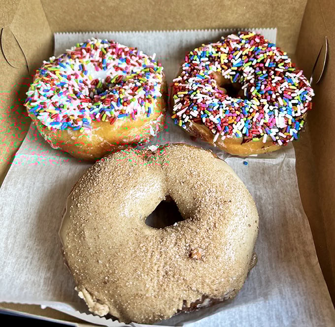 Donuts dressed up in rainbow sprinkles, proving that sometimes the simplest pleasures bring the greatest happiness.