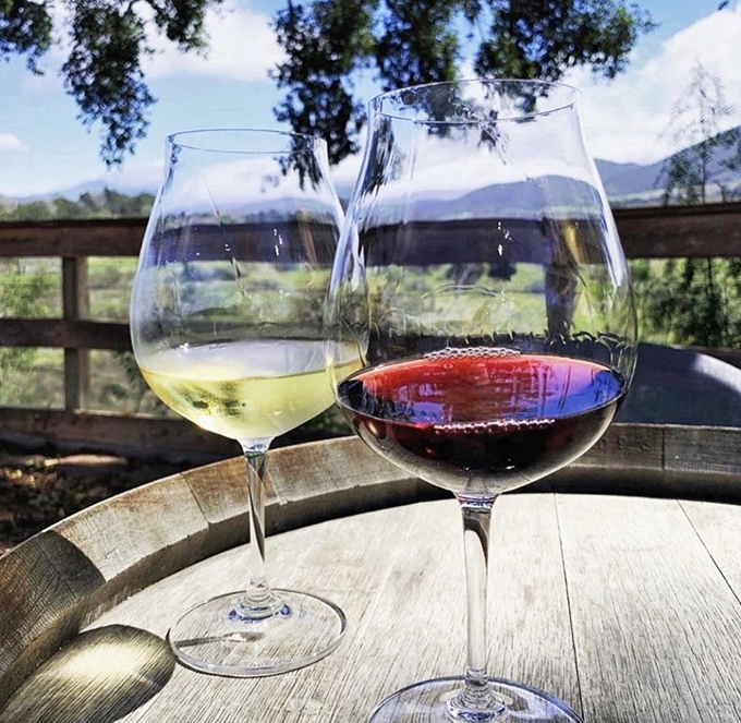 Wine country views frame perfectly paired glasses&mdash;red for beef, white for everything else, joy for absolutely everyone.
