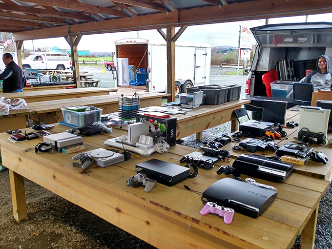 Gaming history laid bare&mdash;from Atari to PlayStation, these electronic time capsules await collectors who remember blowing into cartridges to make them work.