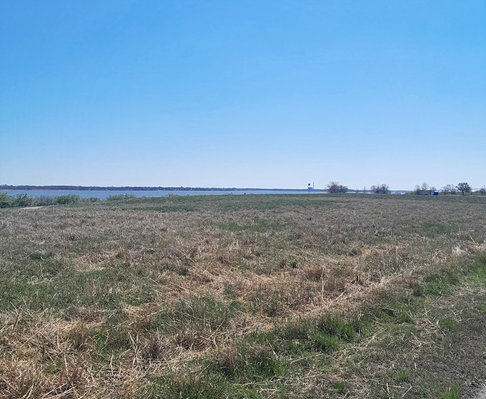 Open meadows whisper possibilities of wildflowers in spring. Nature's version of "coming soon" posters for its seasonal attractions.