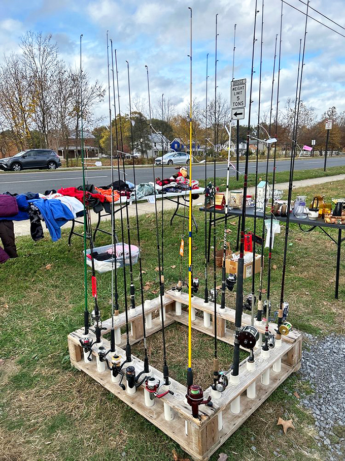 Fishing rod forest! This ingenious display turns practical outdoor gear into an art installation that would make both Hemingway and Bass Pro proud.