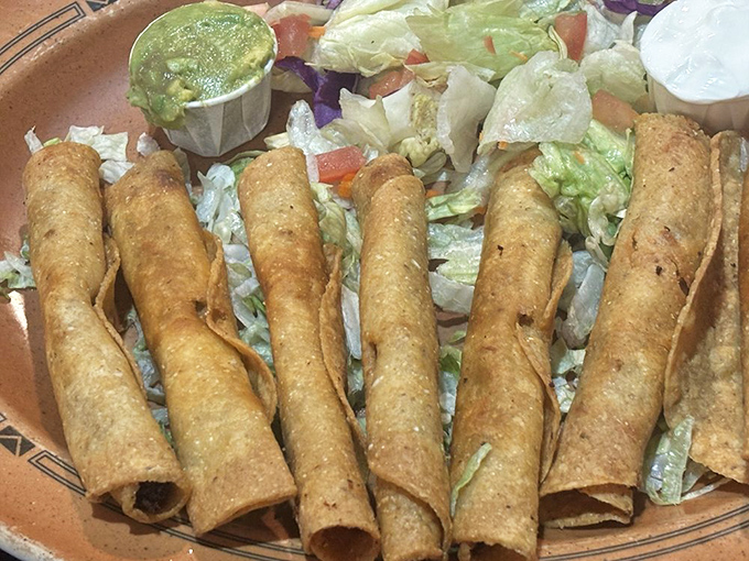 Crispy flautas lined up like delicious soldiers, ready to be dipped in that cool guacamole and sour cream.