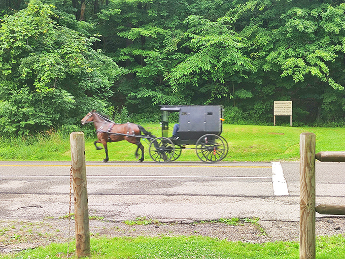 An Amish buggy passing by reminds us that in this corner of Ohio, different centuries coexist peacefully, each moving at their own perfectly reasonable pace.