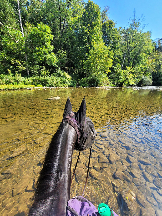 Horseback riding through these trails makes you feel like John Wayne, minus the swagger and spurs.