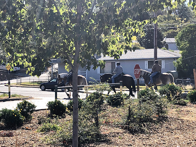 In Auburn, horseback riders share residential streets with cars&mdash;a delightful reminder you're in a town where rural traditions and modern life coexist beautifully.