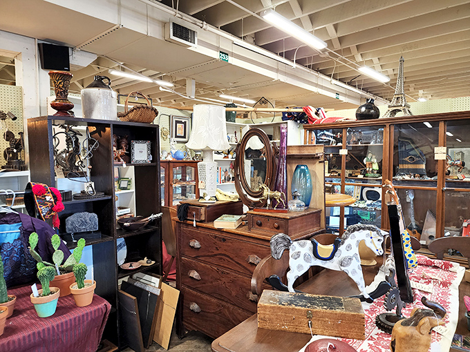 Decorative treasures that could turn any living room into a conversation starter or time machine, your choice.