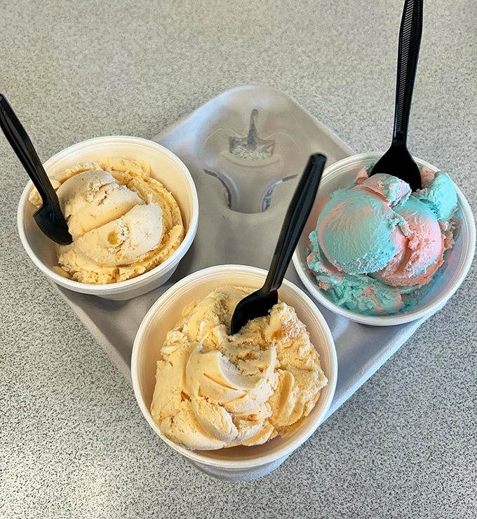 Ice cream that doesn't need exotic flavors or artisanal credentials. Just honest scoops that taste like childhood summers and zero regrets.