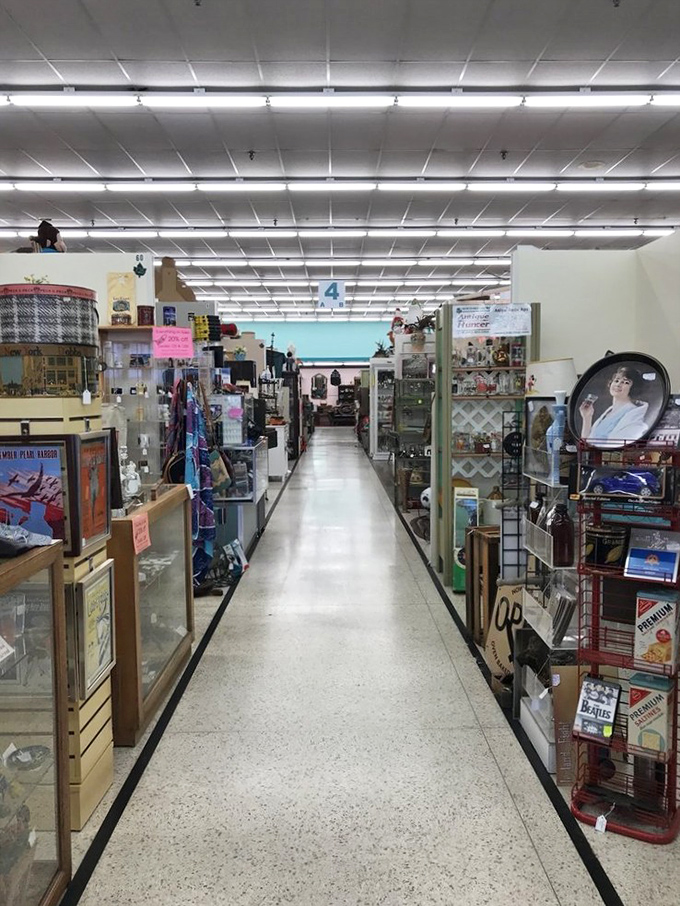 Another aisle, another adventure. The numbered sections only hint at the organizational wizardry required to manage this treasure trove.