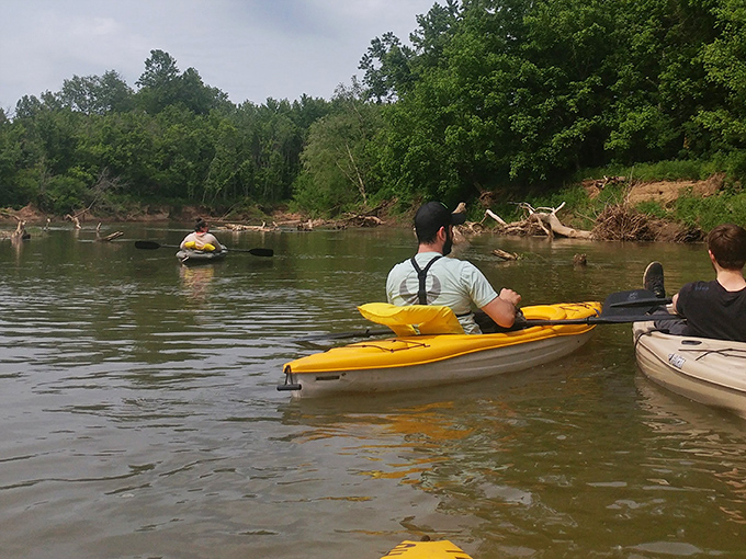 Yellow kayaks navigate gentle currents while fallen trees create nature's obstacle course. Social distancing was cool here long before it was mandatory.