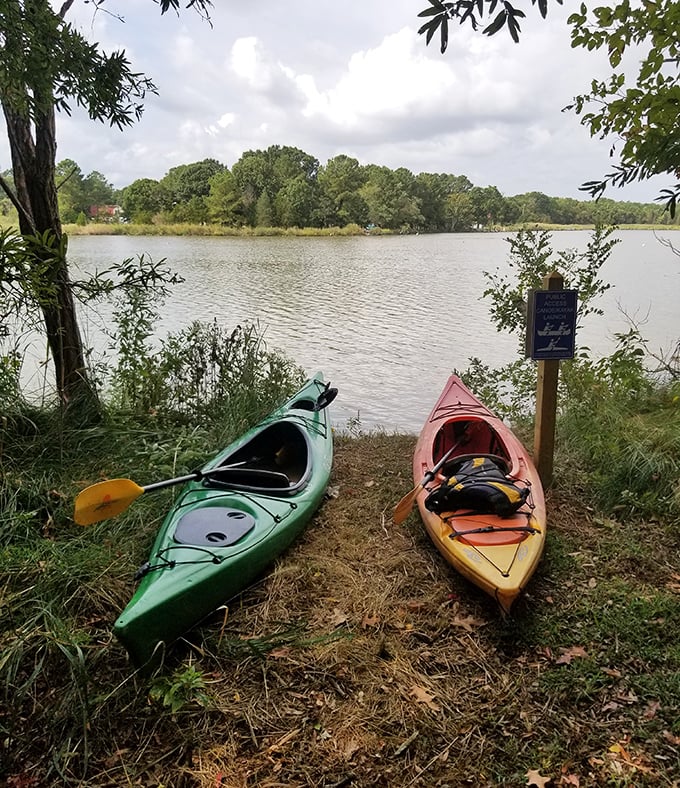 Kayaking paradise awaits the adventurous. These colorful vessels sit ready for explorers to discover the bay's hidden corners.