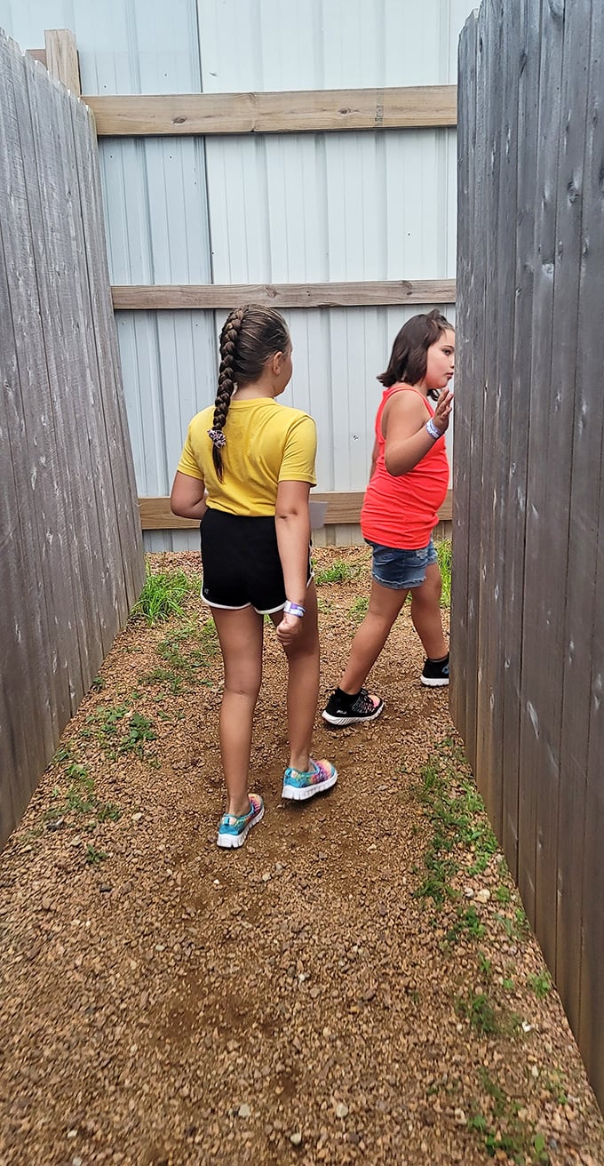 Navigating wooden pathways with determination, these young adventurers demonstrate the proper technique for conquering a maze: teamwork and concentration.