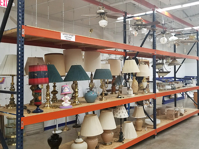 More lamps than a Liberace estate sale, each one promising to brighten your world for pennies on the dollar.