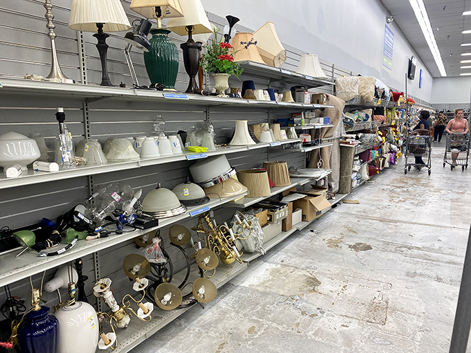 Lamps and fixtures galore &ndash; because good lighting makes even thrift store finds look like million bucks.