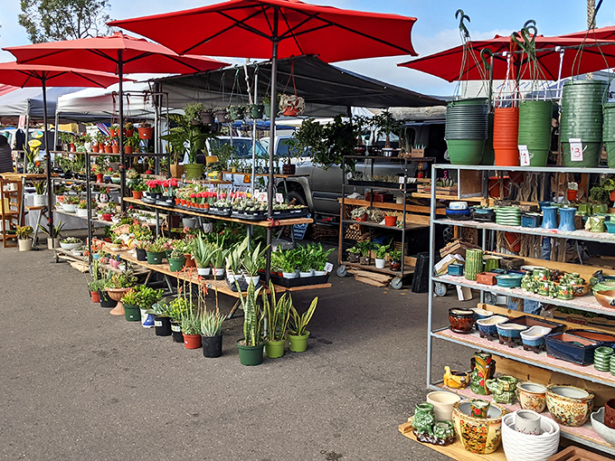 Garden dreams in portable form. This plant paradise offers everything from practical herbs to statement succulents for both green thumbs and aspirational waterers.