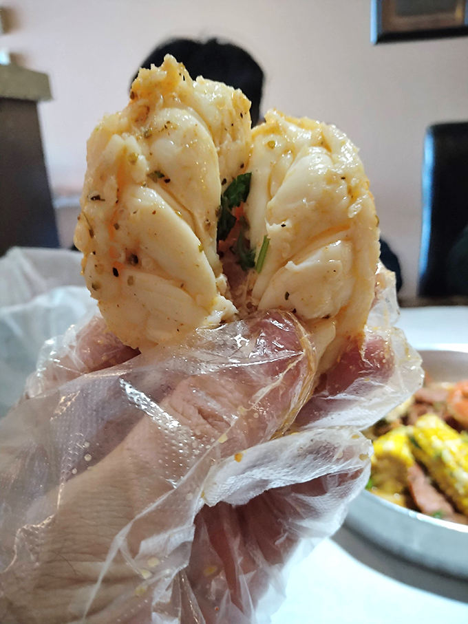 Behold the lobster meat in all its glory! Wrapped in plastic like the precious jewel of the ocean that it is.