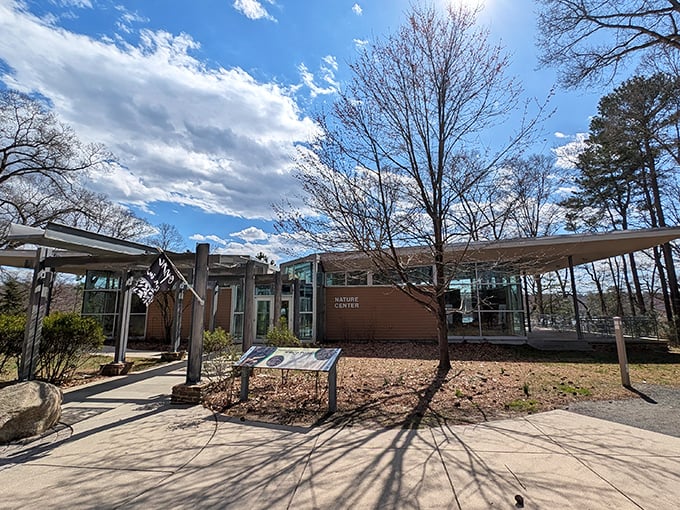 Nature Center 101: Where curious minds come to discover why that weird bug on your tent last night wasn't actually plotting against you.