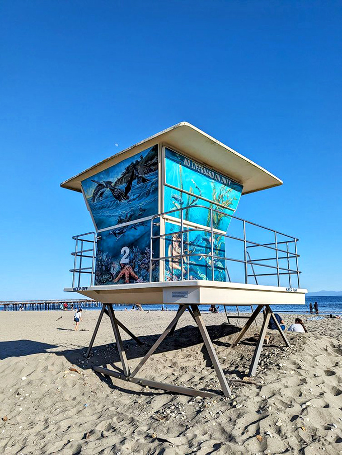 Even the lifeguard towers in Avila Beach double as art galleries, showcasing marine murals that celebrate the underwater neighbors.