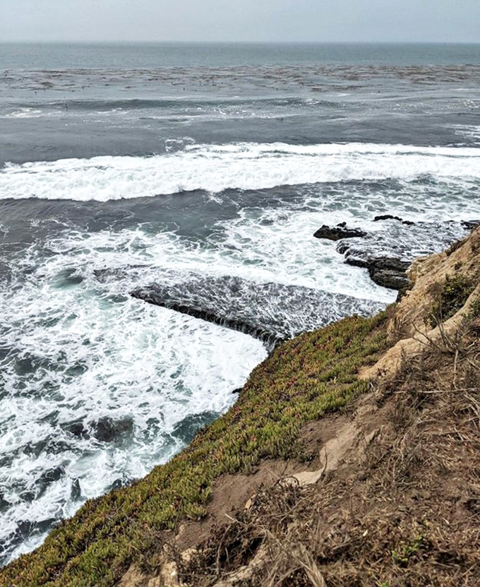 The ocean's relentless sculptural work creates a masterpiece of erosion. Mother Nature showing off her portfolio of greatest hits.