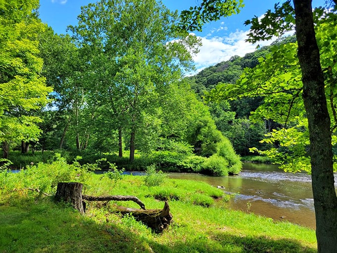 Summer's embrace turns Oil Creek into a postcard-perfect scene where water, woods, and sky create nature's perfect palette.