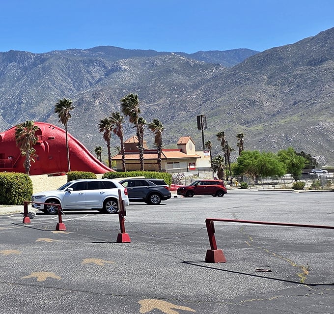 Even from the parking lot, these colossal creatures command attention, with Dinny's distinctive silhouette against the mountain skyline.