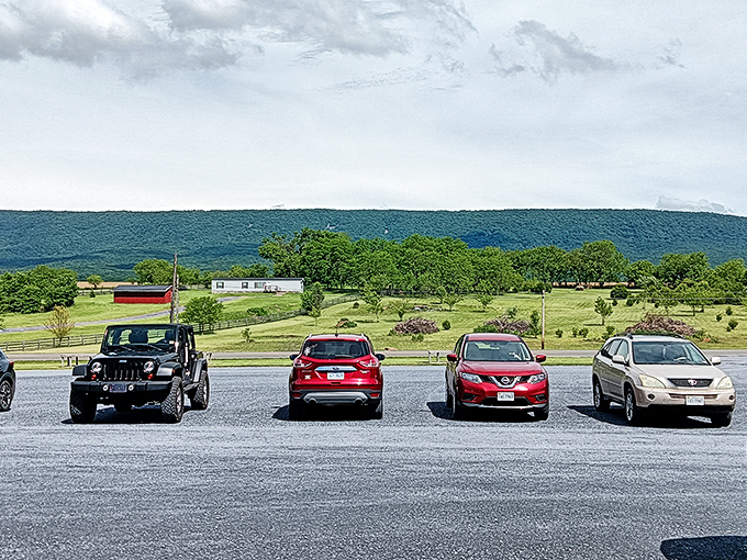 The Shenandoah mountains provide a majestic backdrop, as if Mother Nature herself is saying, "Come find treasures with a view!"