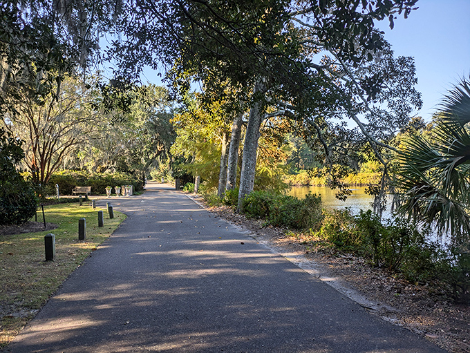 This sun-dappled pathway promises adventure around every bend, like a real-life version of those fantasy forest paths in storybooks we loved as kids.