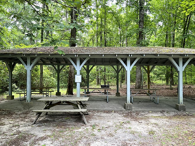 Picnic paradise awaits under this rustic pavilion, where lunch comes with a side of serenity and birdsong.