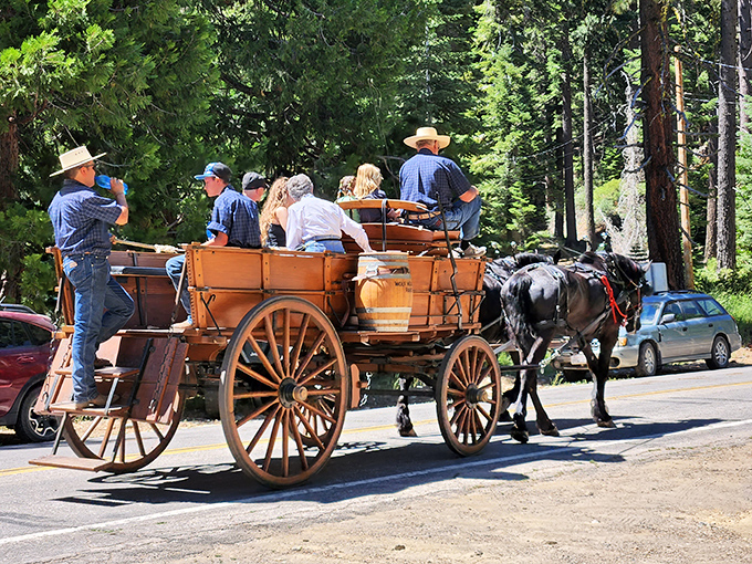 Time travel, Sierra style. This horse-drawn wagon experience lets visitors channel their inner Laura Ingalls Wilder without the typhoid fever.