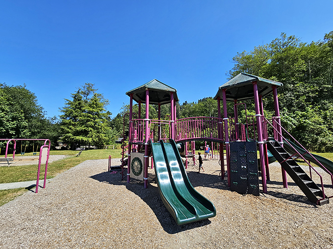 Even the playground in Ferndale has a certain charm—where else can kids slide while parents soak in views that belong on a calendar?