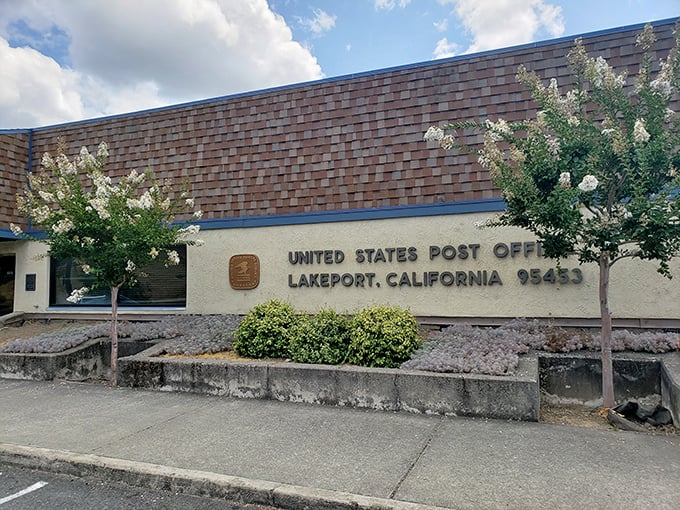 Even Lakeport's post office has that small-town charm where you half expect the clerk to ask about your mother's hip replacement.