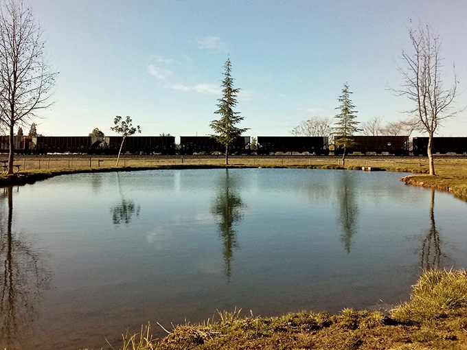 Reflective waters create a moment of serenity amid Auburn's natural landscape. Even the trees seem to pause here for a moment of peaceful contemplation.