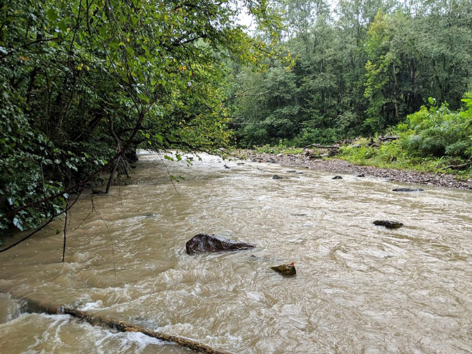 After heavy rains, Furnace Run transforms from gentle stream to rushing torrent. The bridge has seen it all and stands unfazed.
