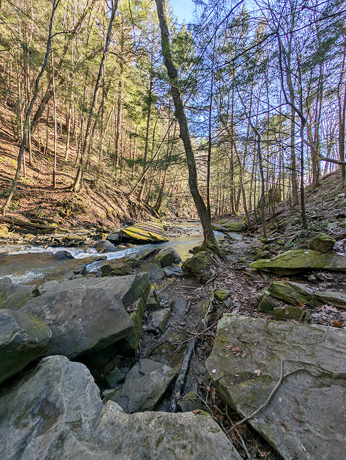 Peaceful waterways wind through forests where time moves at nature's unhurried pace.