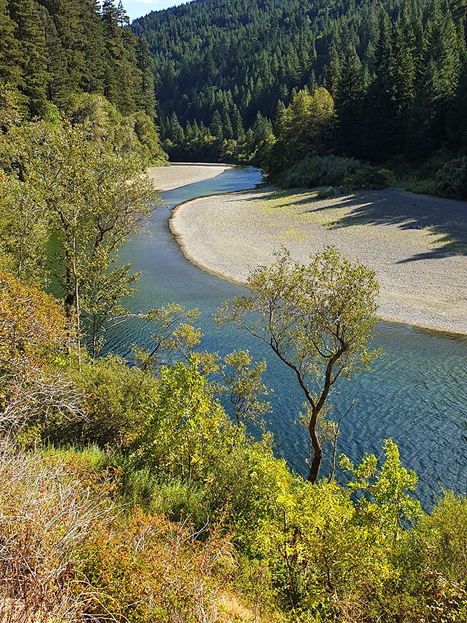 The Eel River curves gracefully through the landscape, offering swimmers and kayakers a refreshing break from forest bathing.