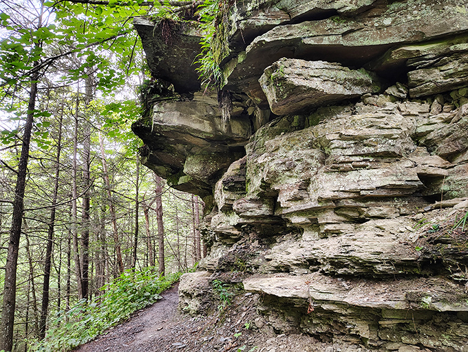 Layers of geological history stacked like a giant earth sandwich, each stripe telling its own ancient story.