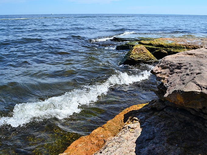 The rocky shoreline holds treasures like beach glass and fossils &ndash; nature's own vintage collectibles shop.