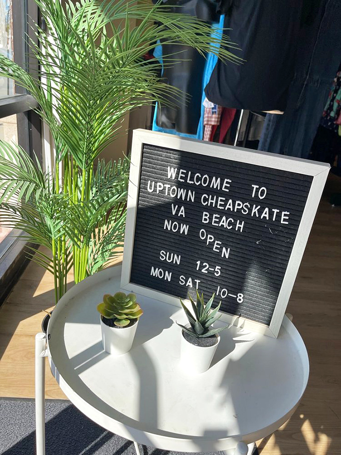 A welcome sign that actually makes you feel welcome. Those potted succulents aren't just surviving&mdash;they're thriving, much like your wallet will here. 