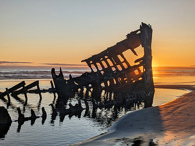 The Peter Iredale shipwreck at sunset transforms from rusty relic to golden sculpture, proving that Mother Nature is the ultimate installation artist.