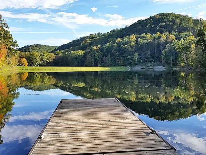 Not just any old dock – this is front-row seating to nature's daily performance of light, water, and woodland choreography.