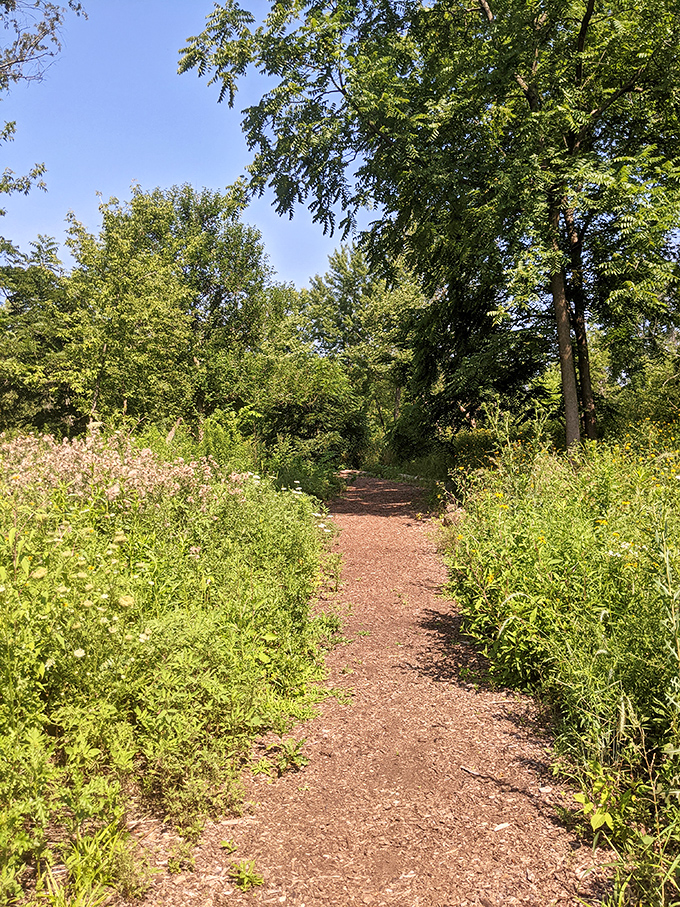 The path less traveled often leads to the best discoveries. This winding trail promises adventures and artistic surprises around every bend.