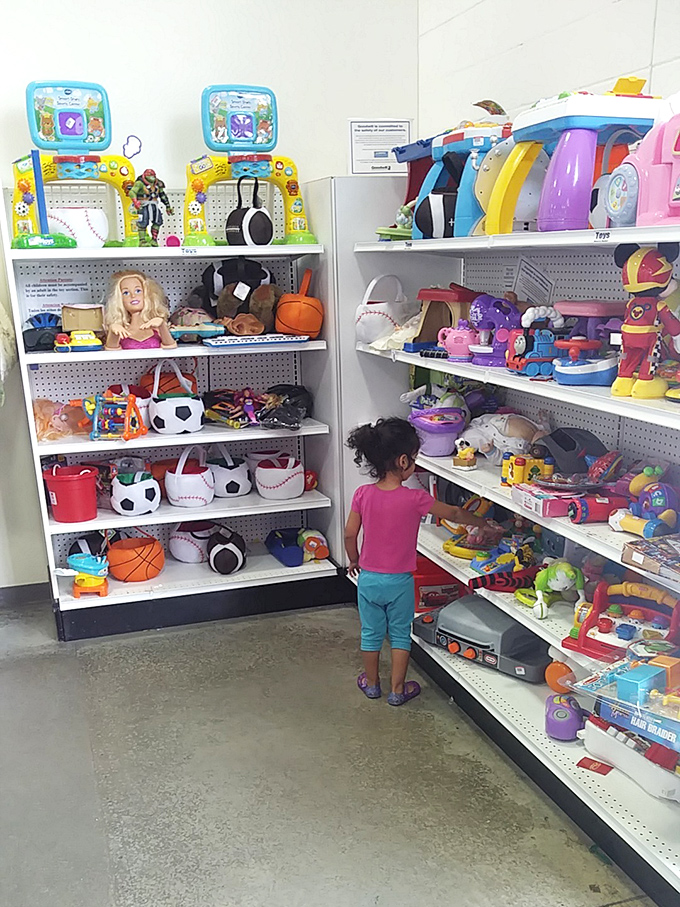 Childhood memories materialize in plastic and plush, where beloved playthings await their next chapter of imagination.