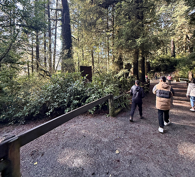 Wandering the trails feels like stepping into a storybook &ndash; minus the part where you get lost and eaten by wolves.