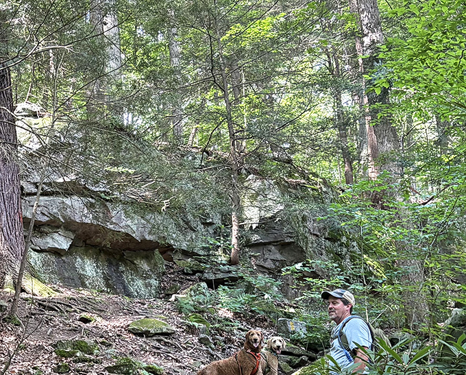 Trail companions make the best hiking buddies. This peaceful moment in the Laurel Highlands captures the essence of outdoor Pennsylvania.
