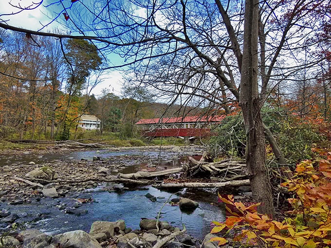 The view from downstream captures nature and human ingenuity in perfect harmony. Those stones have witnessed nearly two centuries of flowing water.