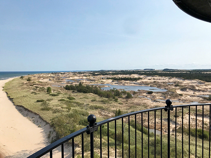 From the top, Lake Michigan stretches to infinity, with dunes and wetlands creating a natural mosaic only visible to those who make the climb.