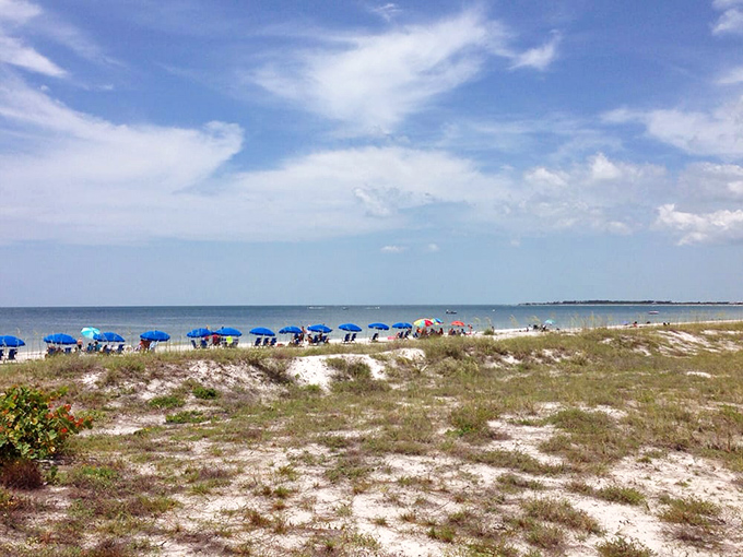 Beach umbrellas standing at attention like colorful soldiers guarding paradise. Even on busier days, Caladesi maintains its "room to breathe" promise.
