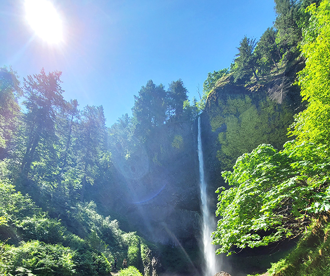 Sunshine creates nature's spotlight: When the sun breaks through, Latourell Falls becomes a dazzling performer on a stage of ancient basalt and vibrant greenery.