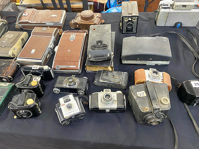 Vintage cameras that captured weddings and birthdays long before "selfie" entered our vocabulary. Each one holds thousands of memories in its mechanical heart.