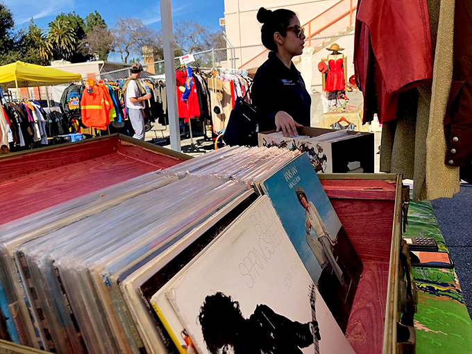 Vinyl records stack like musical archaeology, where your next favorite album waits to be discovered.