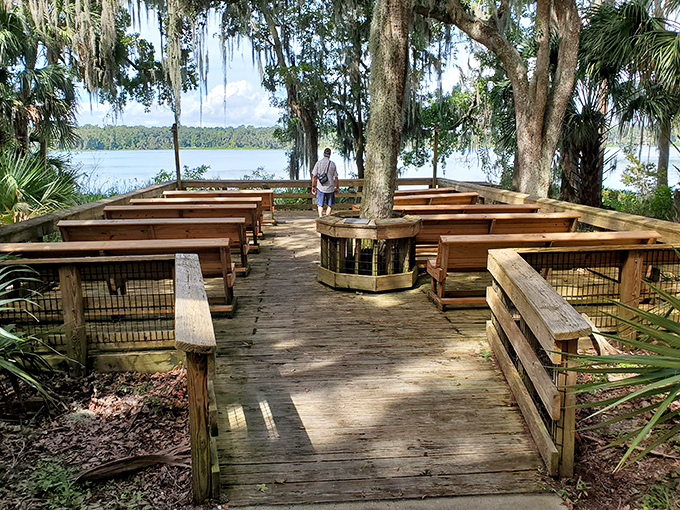 Nature's amphitheater, where wooden benches face the greatest show on earth&mdash;no tickets required, just bring your sense of wonder. 